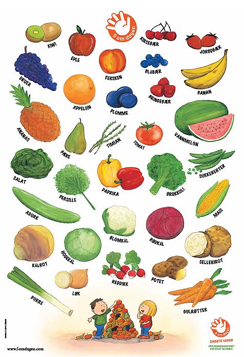 Materiell | FRUKT.no